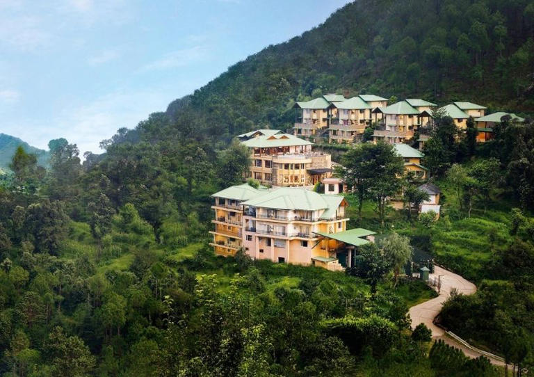 Where tea gardens meet the Dhauladhars: Your perfect escape to Palampur