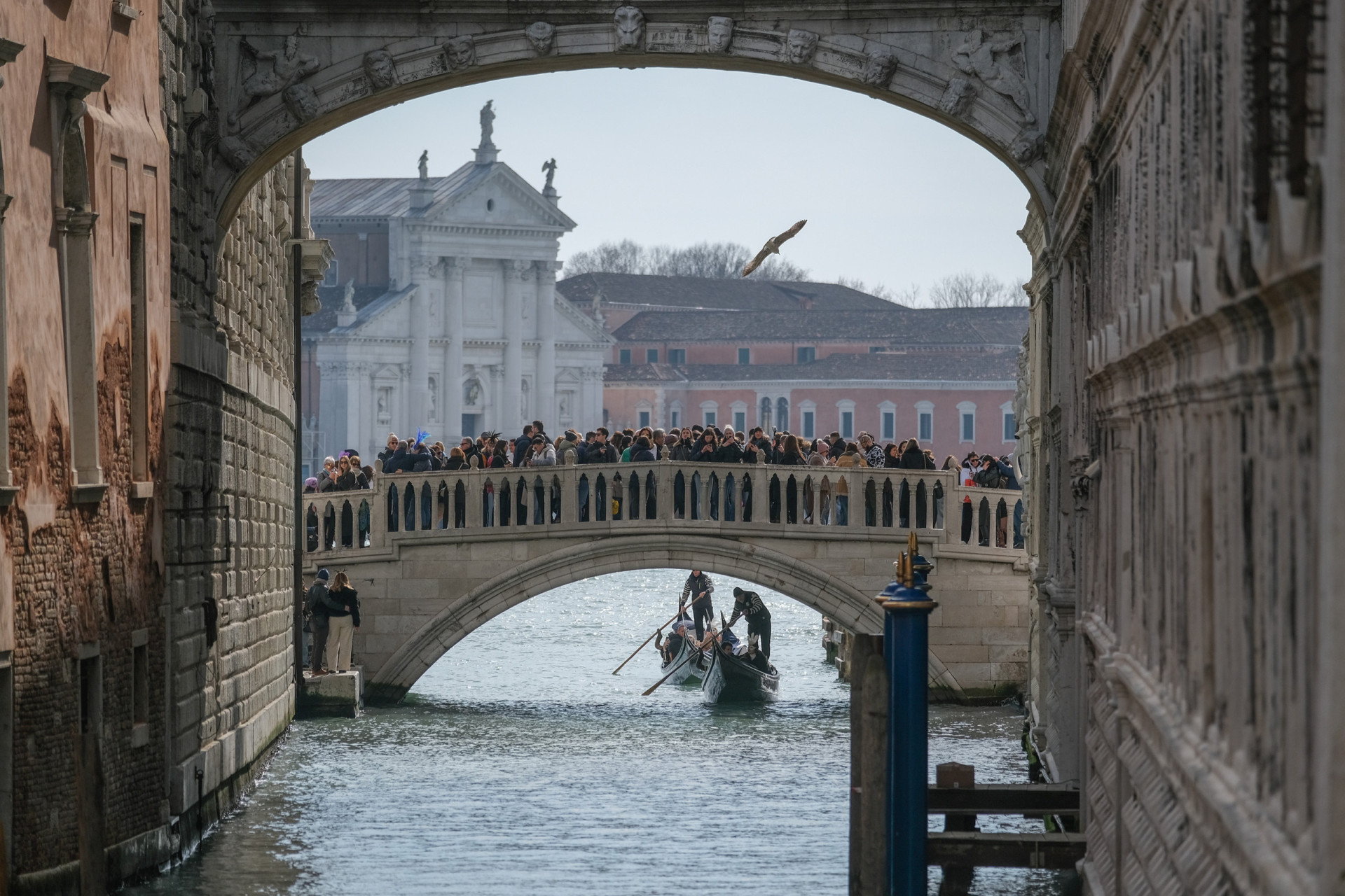 How does Venice manage to float on water?