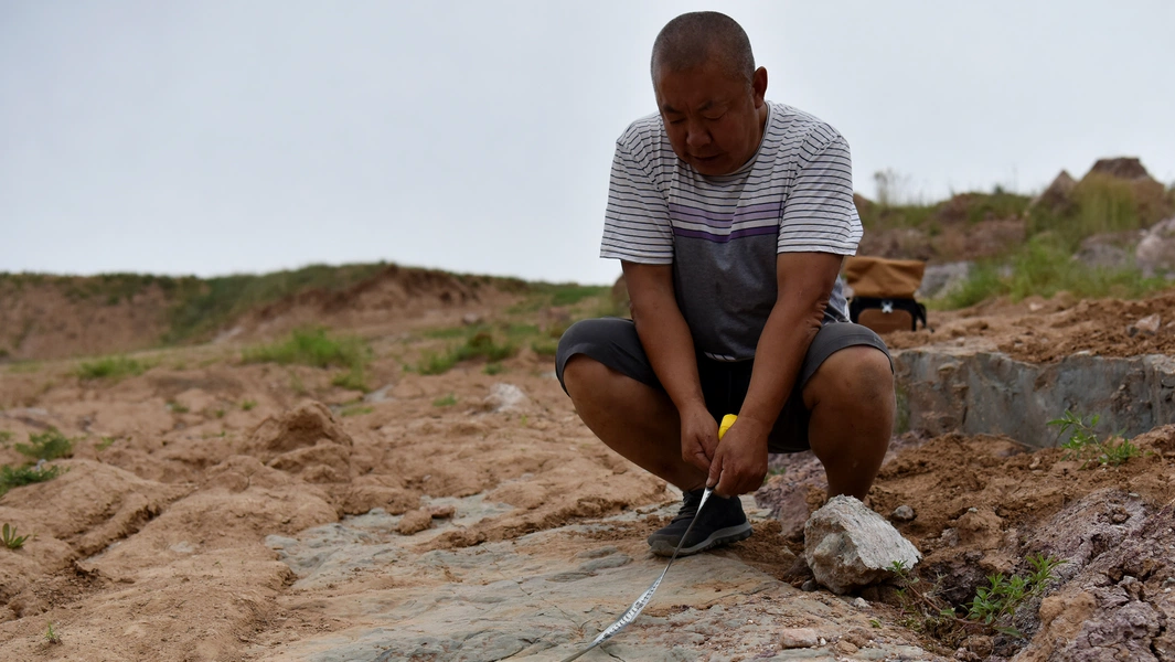 China site reveals slowest-known carnivorous dinosaur walking speed