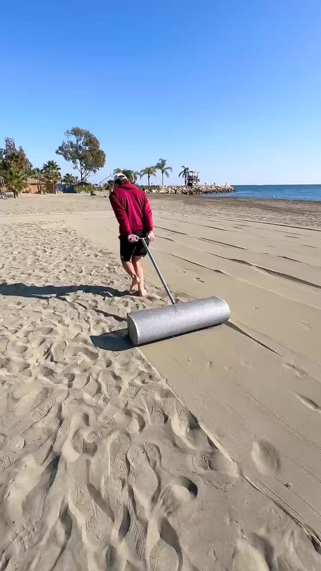 5 surprising things you can discover in beach sand