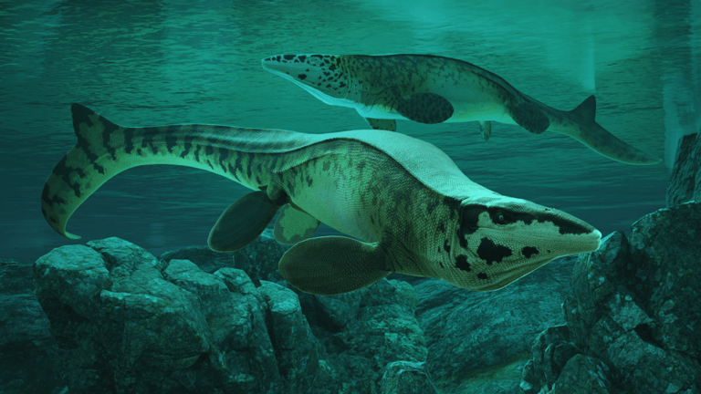 Meet the mighty marine T rex, a sea monster that was a much meaner ...