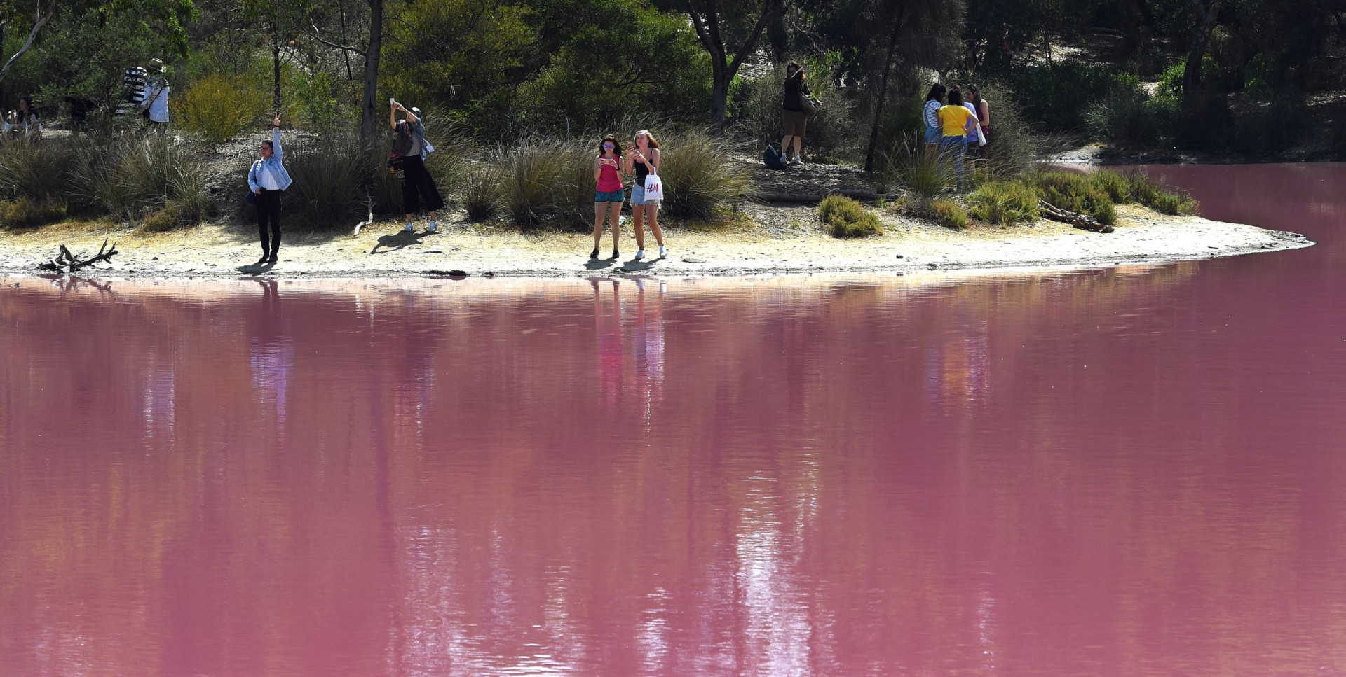 Why are Australian lakes pink?