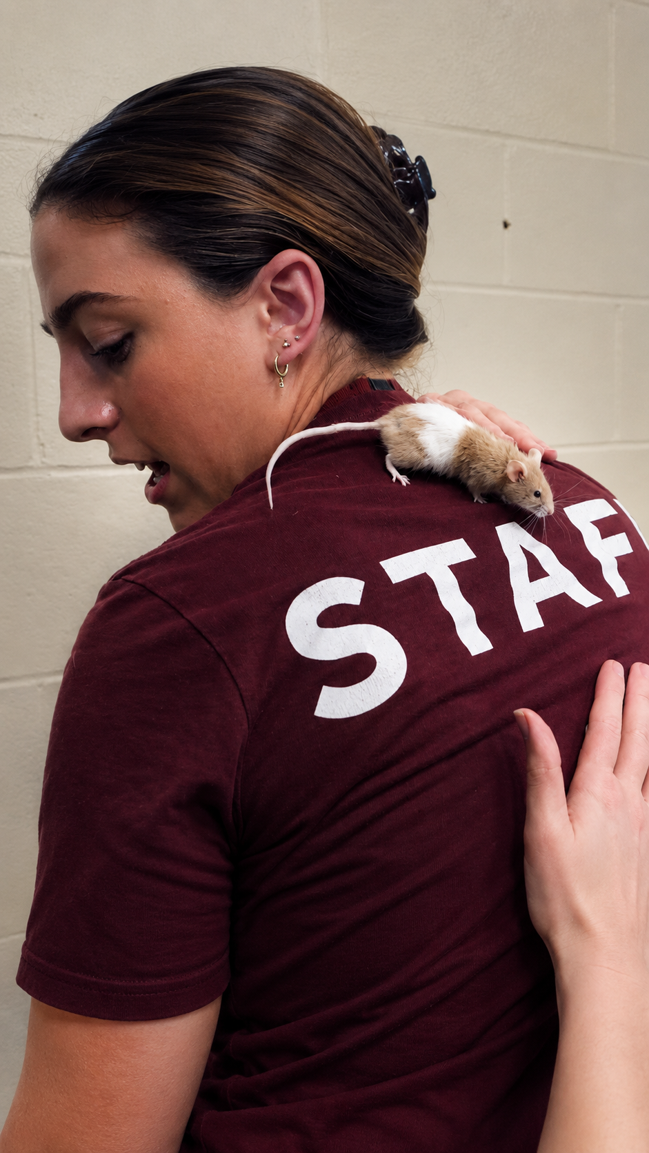 1,000 mice took over a New Hampshire animal shelter