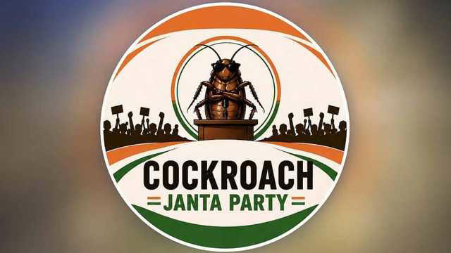 Watch out netas: The cockroaches are organising