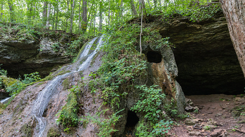 Tennessee's newest state park hides a massive cave system worth exploring