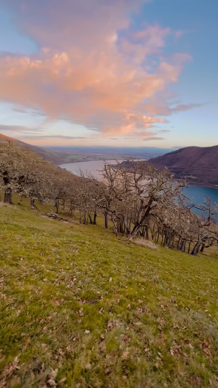 Pre-bloom views in the stunning Columbia River Gorge