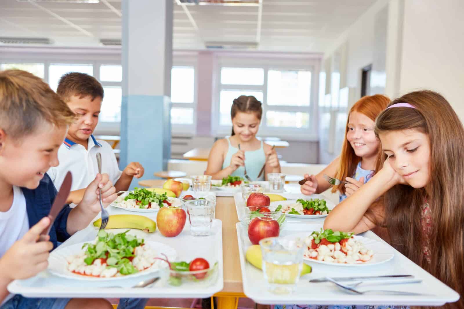 12 school lunch rules parents need to understand