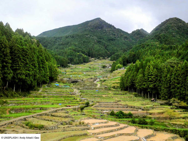 Le satoyama japonais, modèle d’une conservation fondée sur un « pouvoir ...