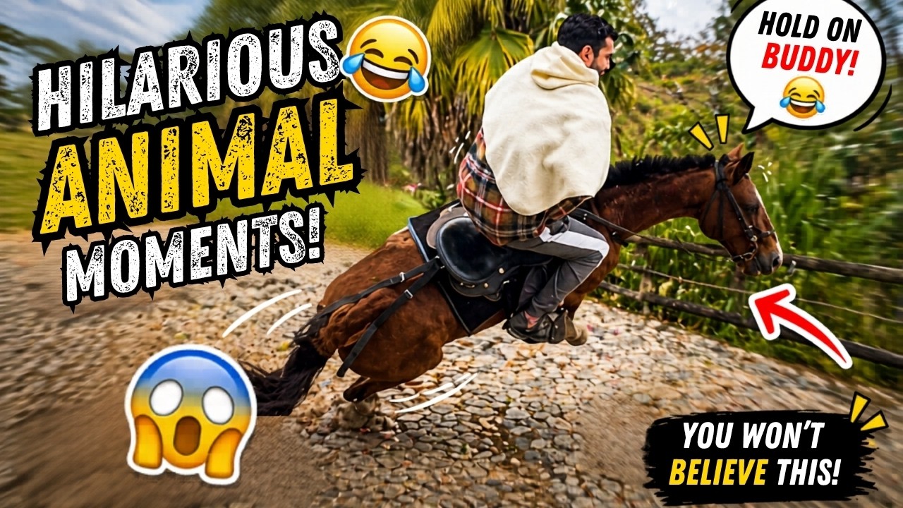 You won’t believe these hilarious animal fails