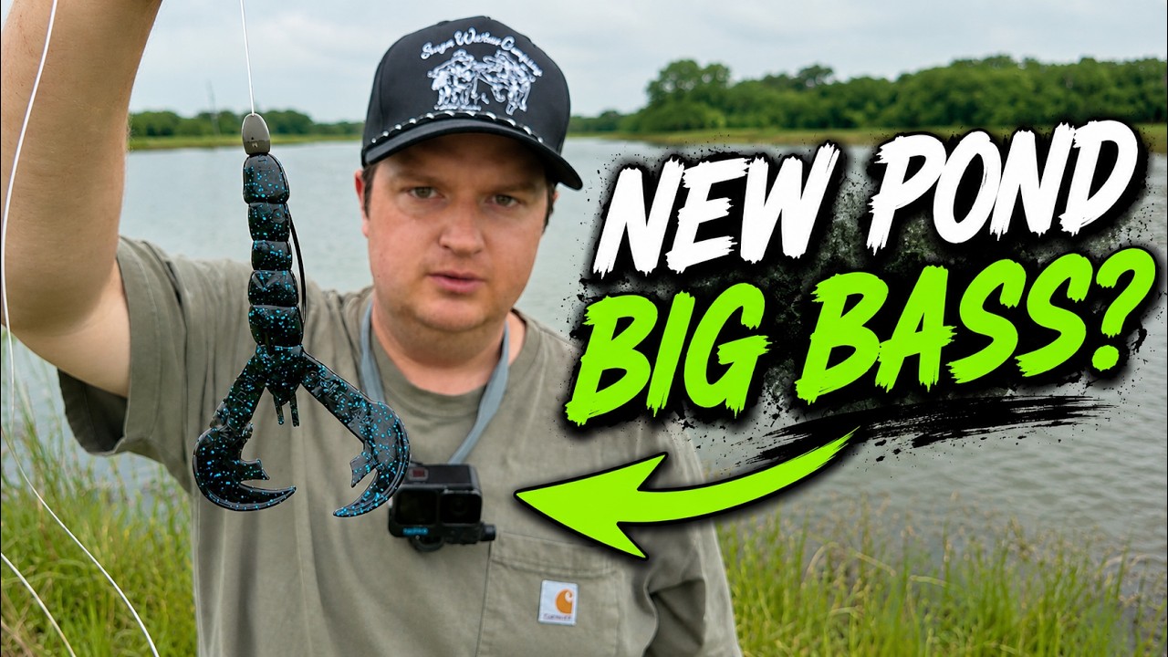 Pond hopping for giant bass around Fort Worth, Texas