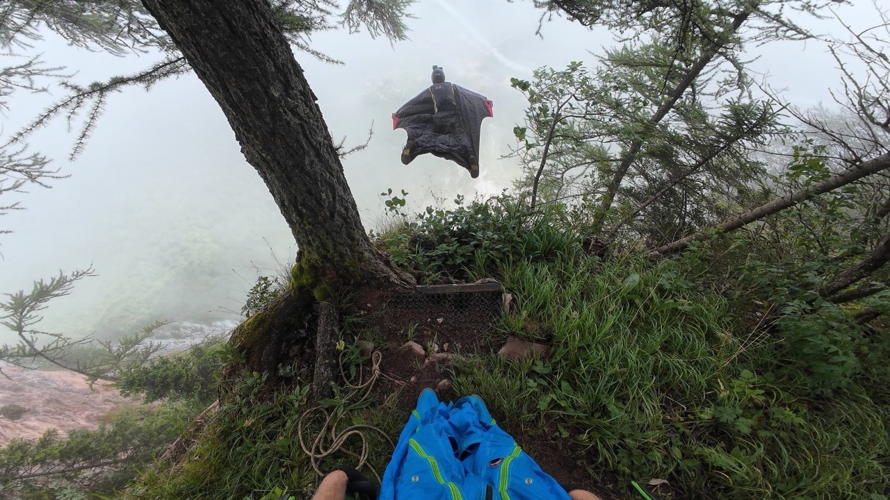 Man sends a full-speed dive through the forest - and the adrenaline ...