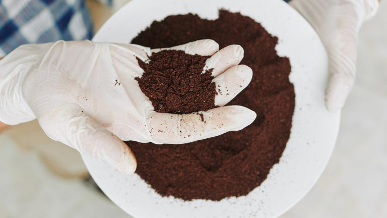 Släng inte kaffesumpen – den kan användas i maten