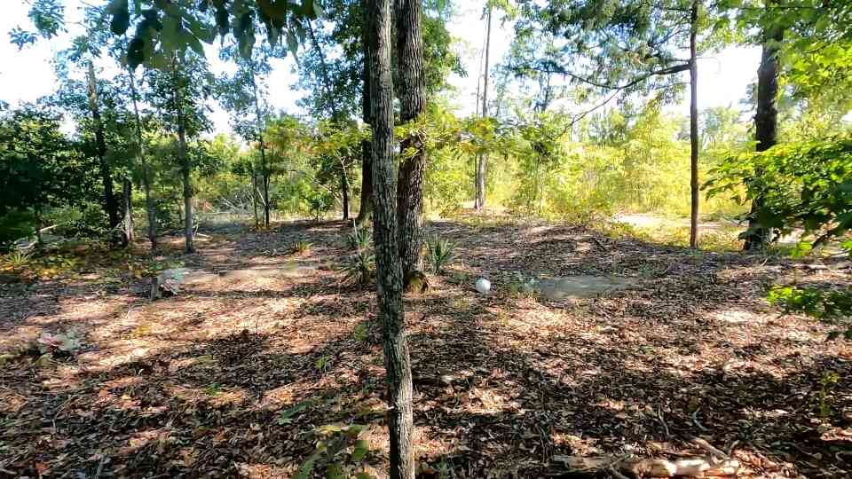 He died in a sand pit — and was buried in this old slave cemetery