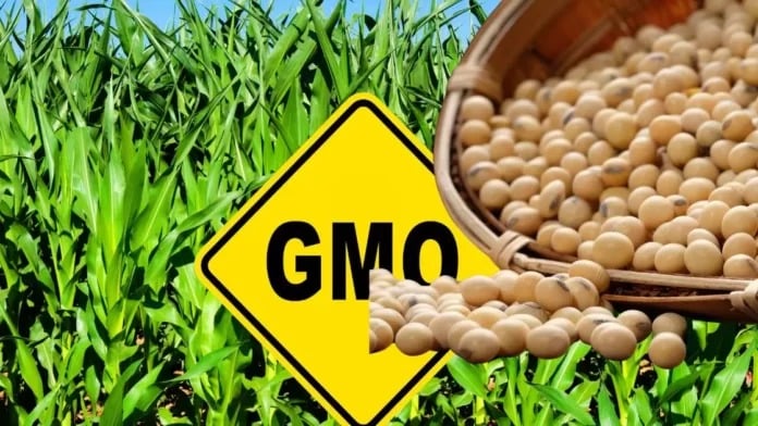 Govt eases GMO import rules with major regulatory reformsPublished on ...