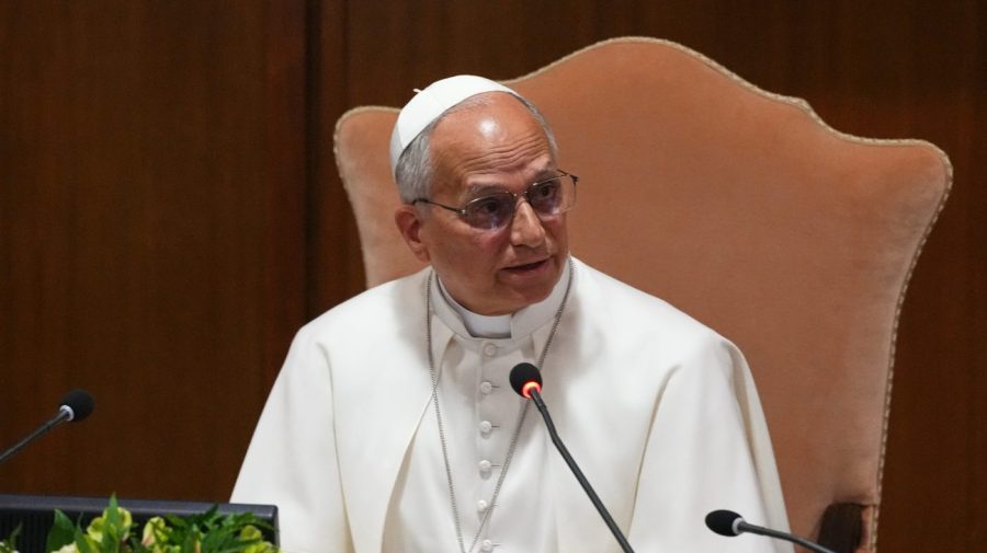 Pope Leo manifesto: World leaders should be 'slowing things down' on AI