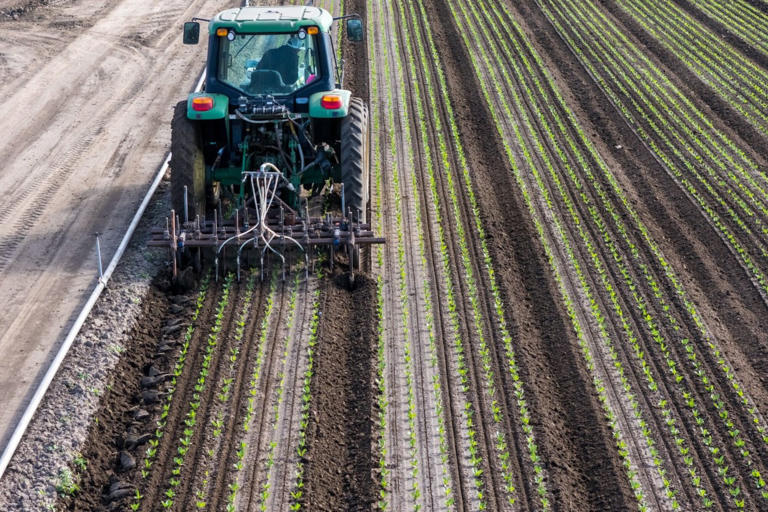 How the Iran war is hitting America’s farm loans