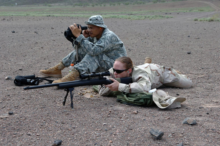 Remington 700 vs Tikka T3x: What long-range hunters notice after real ...