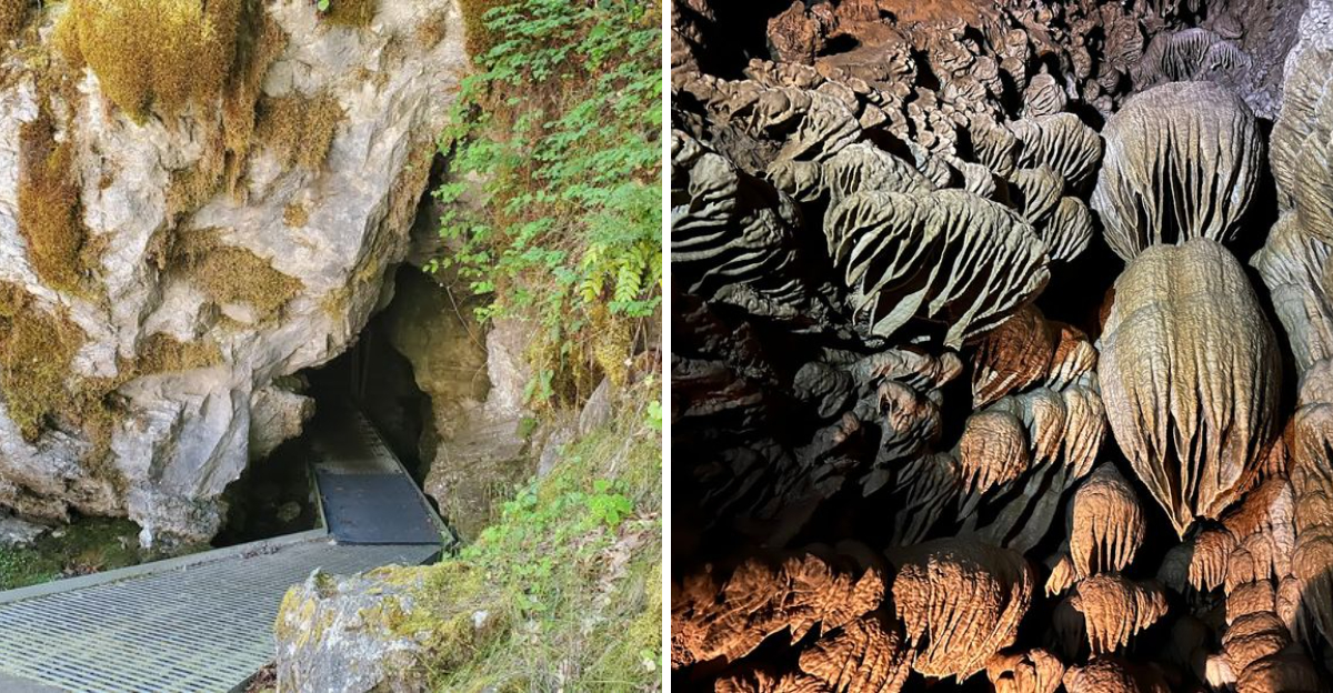 This half-mile Oregon trail takes you through a 250-million-year-old ...