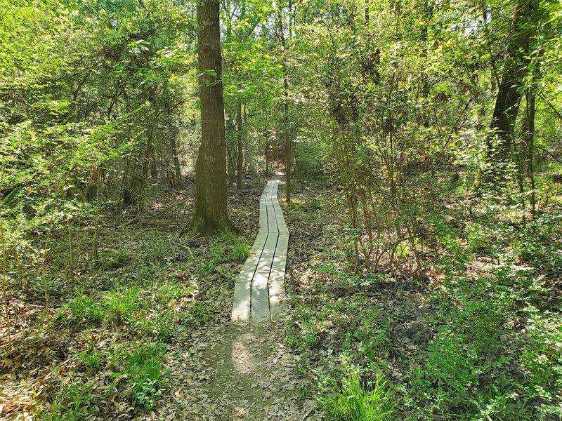 This 12,000-acre Texas park feels normal at first, until you wander ...