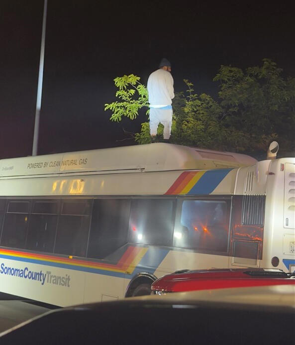 Man in distress atop Sonoma County Transit bus in Santa Rosa brought ...