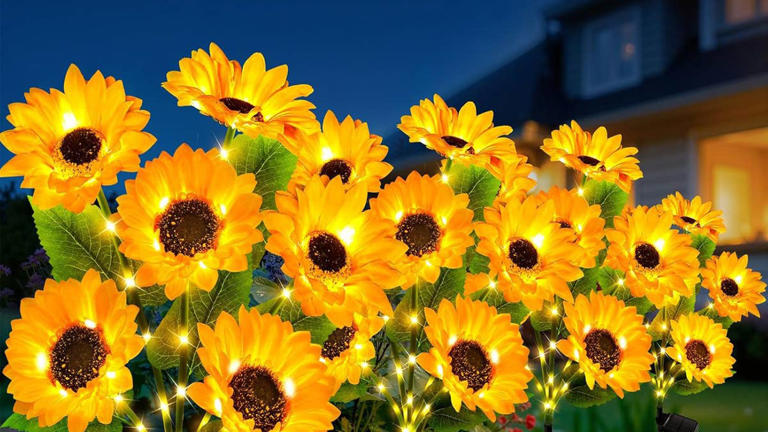 Transform your yard with $30 solar sunflower lights from Amazon — easy ...
