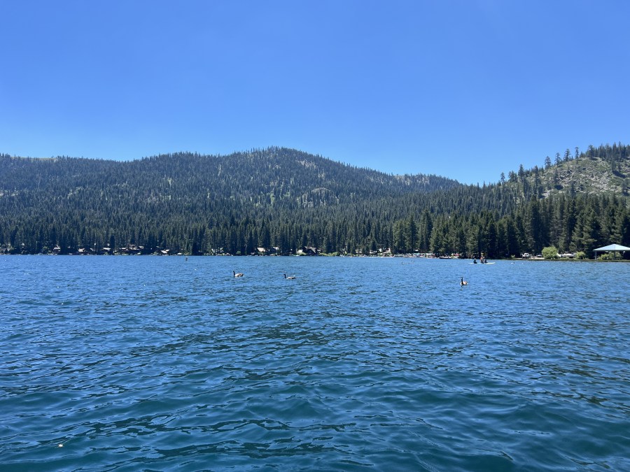 Man drowns in Donner Lake during Memorial Day weekend swim