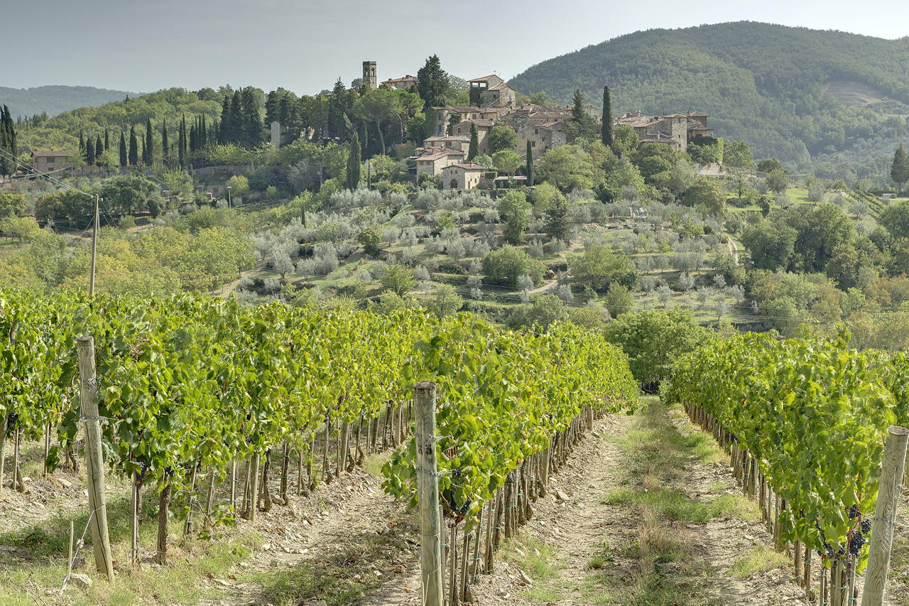 Lunga vita ai Supertuscan: una nuova cantina a Greve in Chianti