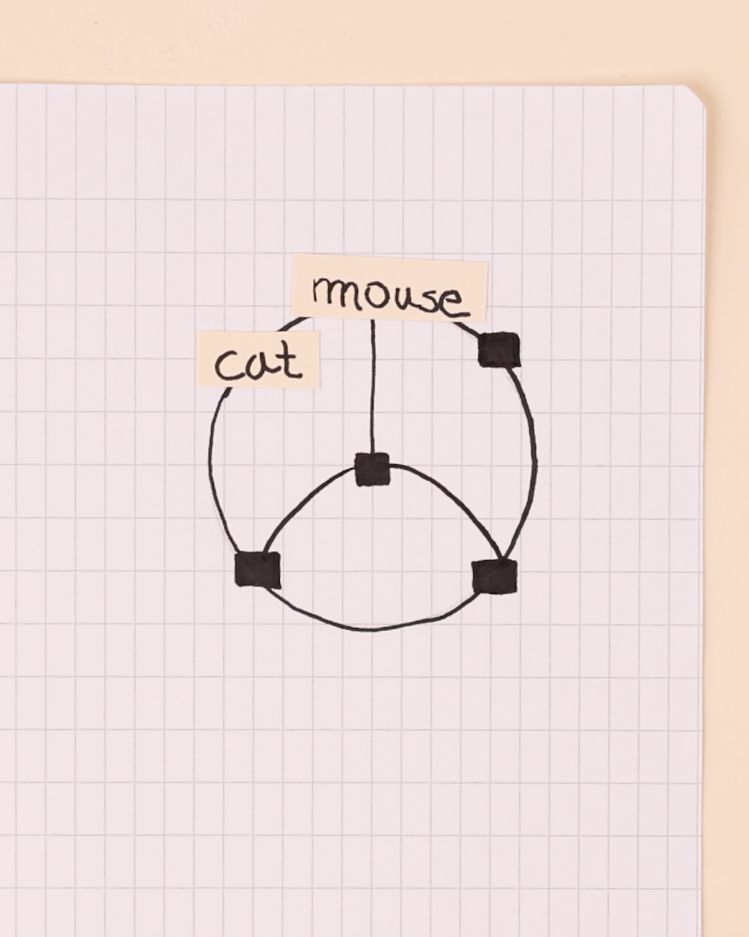 Mus mod kat, men gør det kunstnerisk 🐭🐱