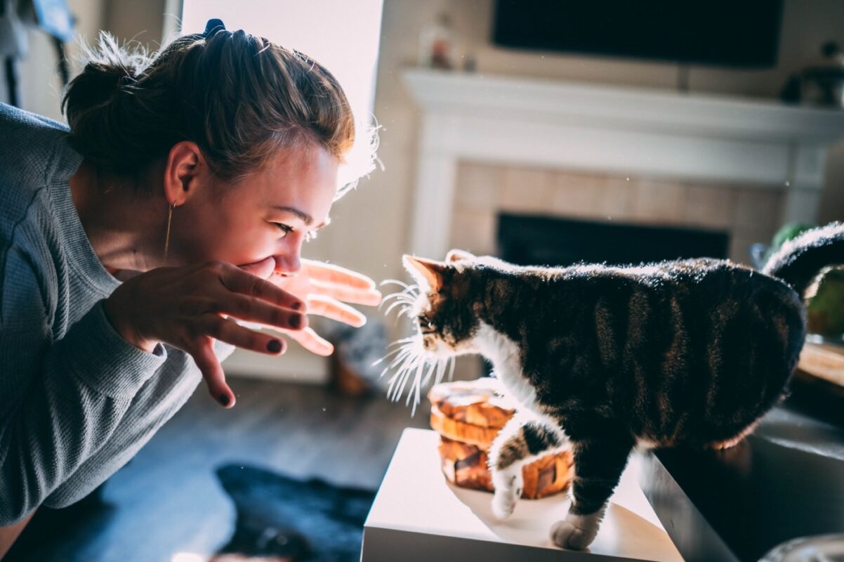 When your cat meows back at you, here’s what they’re actually trying to say