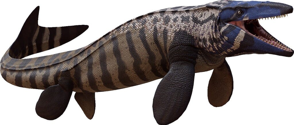 A new T rex has been discovered. But this one ruled the sea