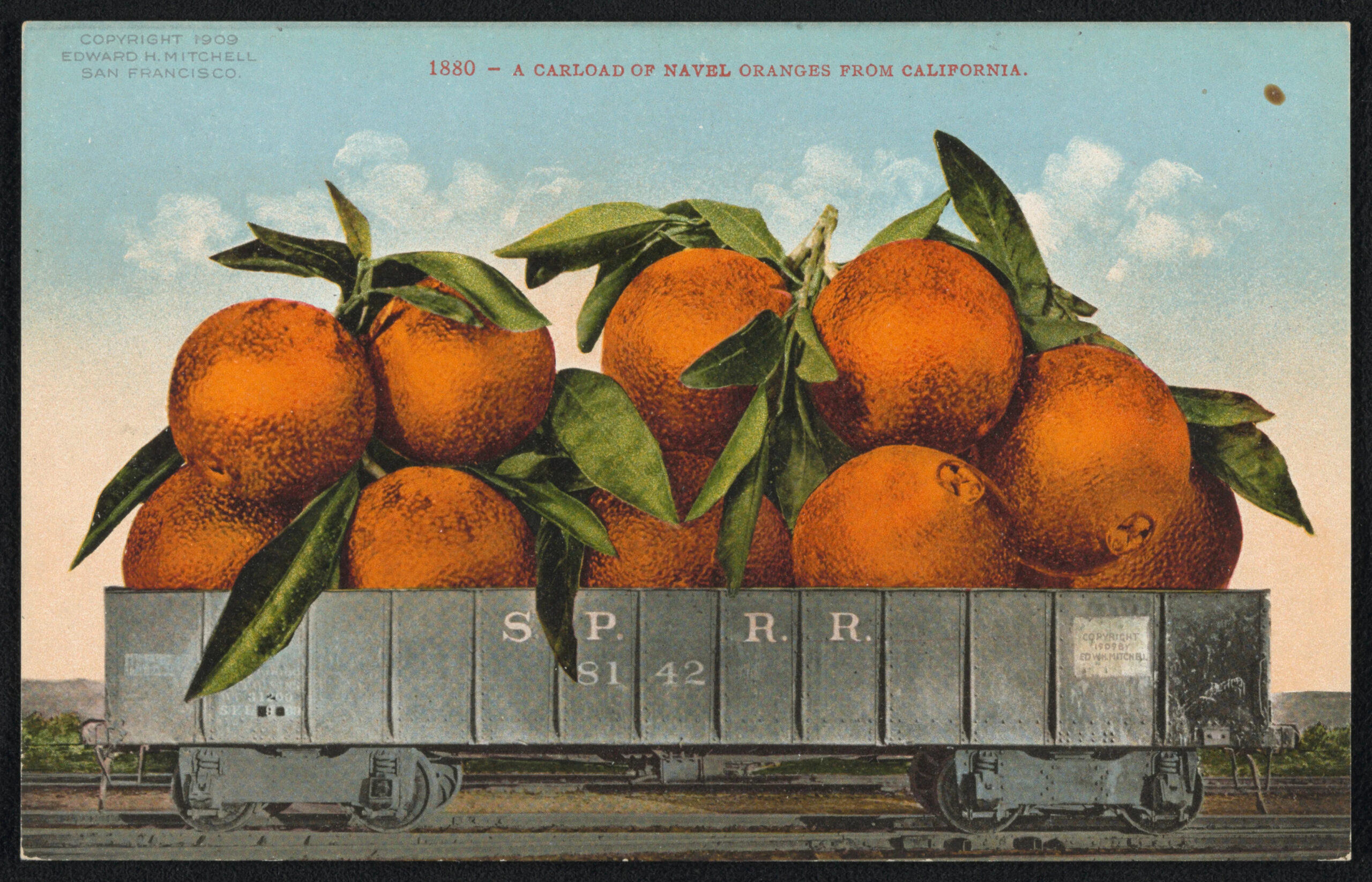Giant crop postcards turned oversize produce into folk art