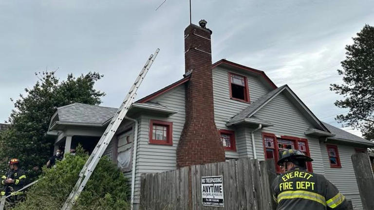 Trespasser rescued after getting stuck in smoking chimney, arrested by ...