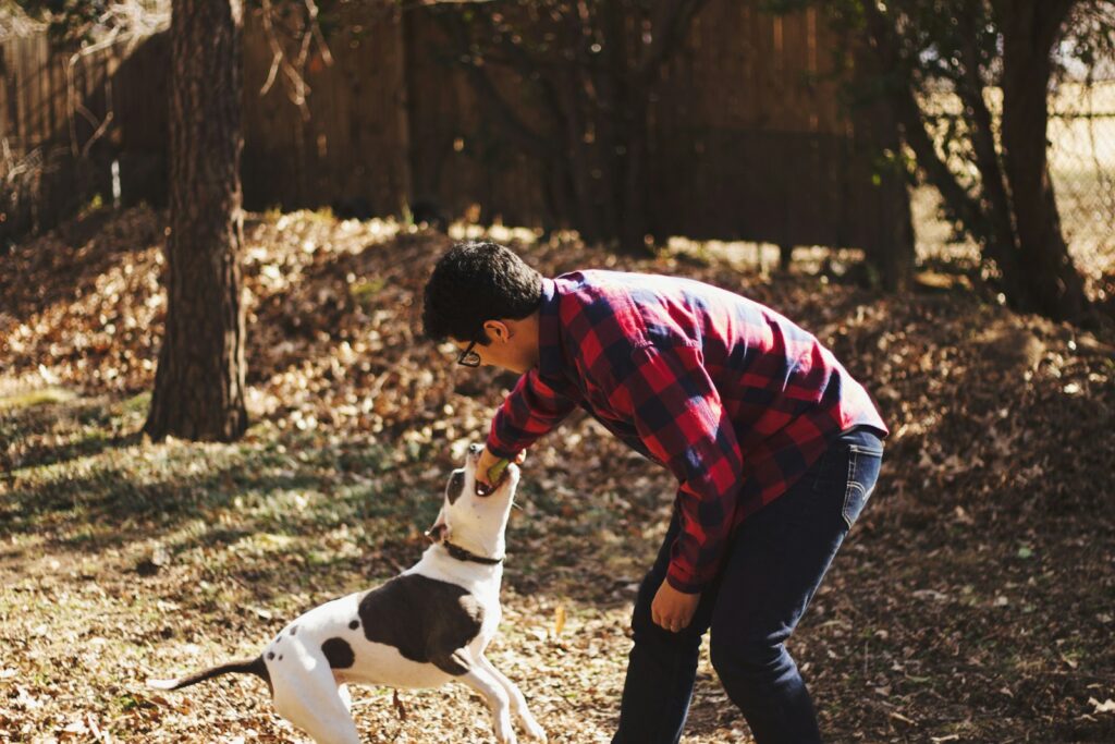 10 realities of fostering a dog (before you commit)