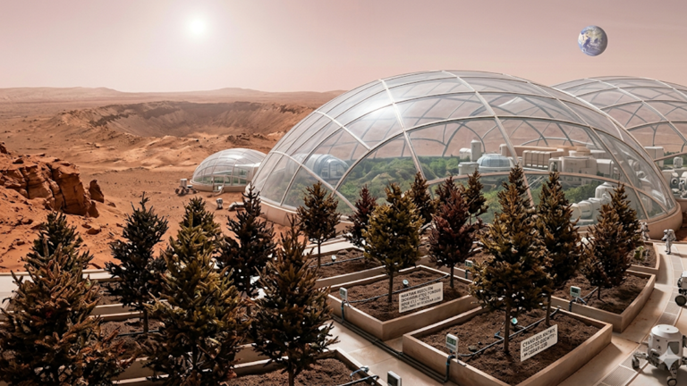 Could this fungus turn Mars into farmland? Scientists say it might make ...