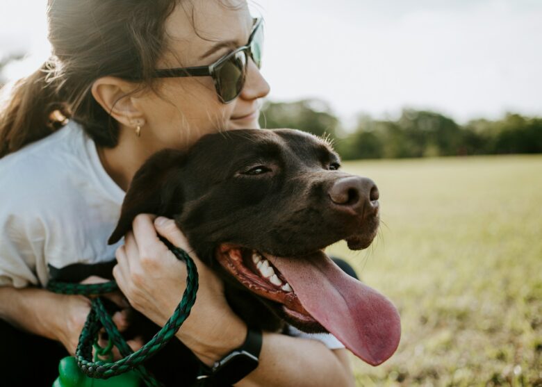10 realities of fostering a dog (before you commit)