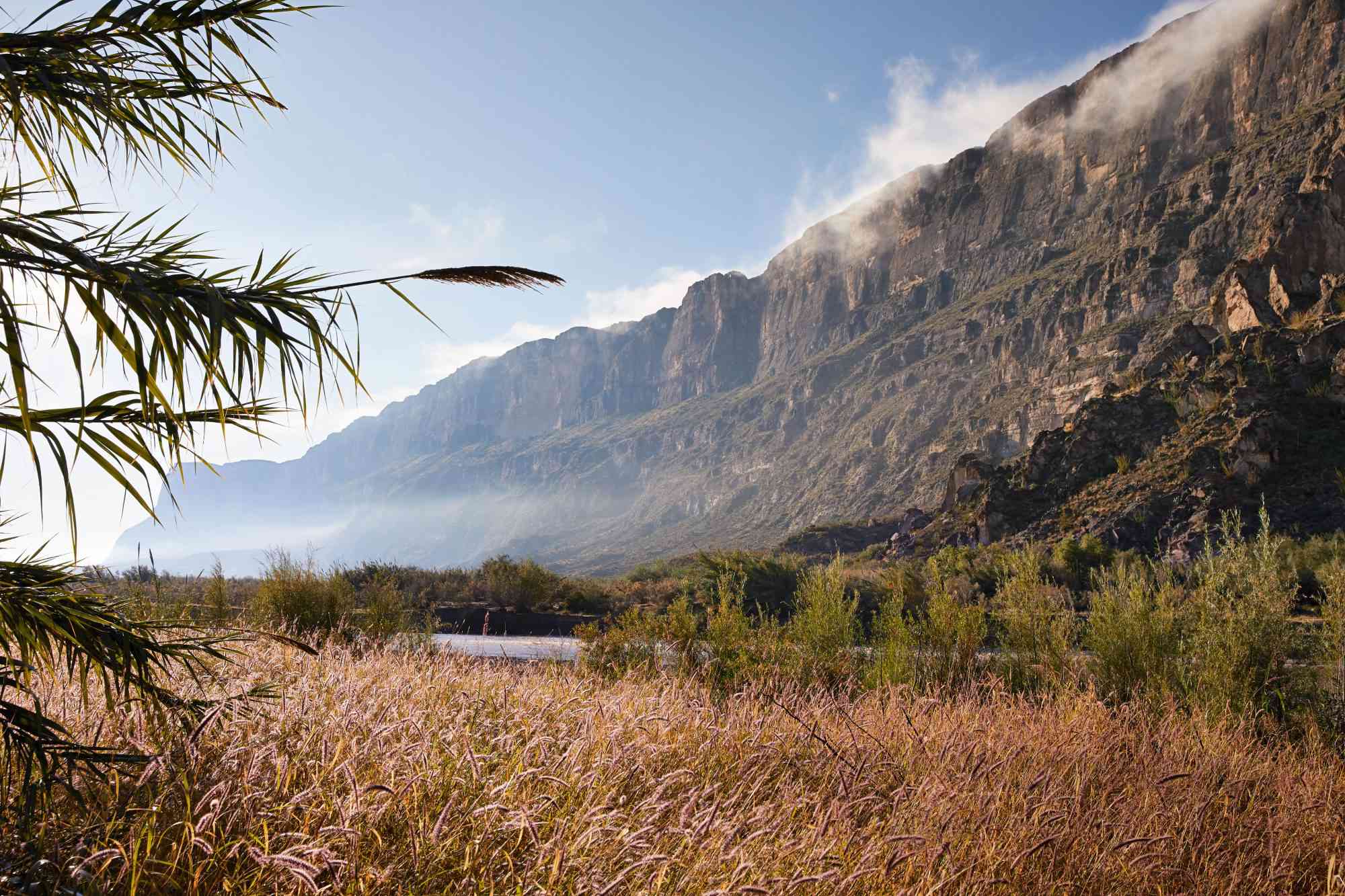 I’ve been to Big Bend National Park nearly 50 times—and this is the ...