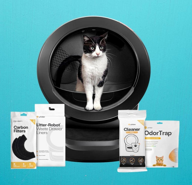 If your cat tracks litter mess all over the house, you need these 8 ...