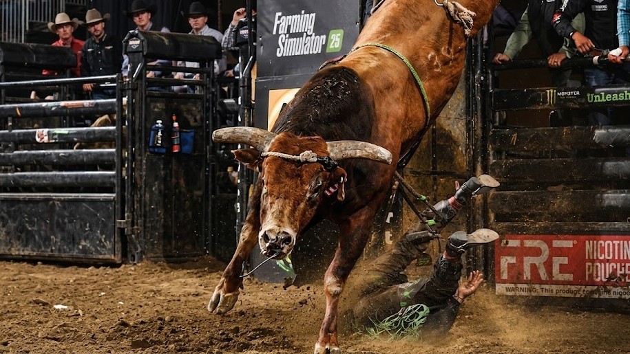 This bull just won PBR bull of the year - and riders still fear him