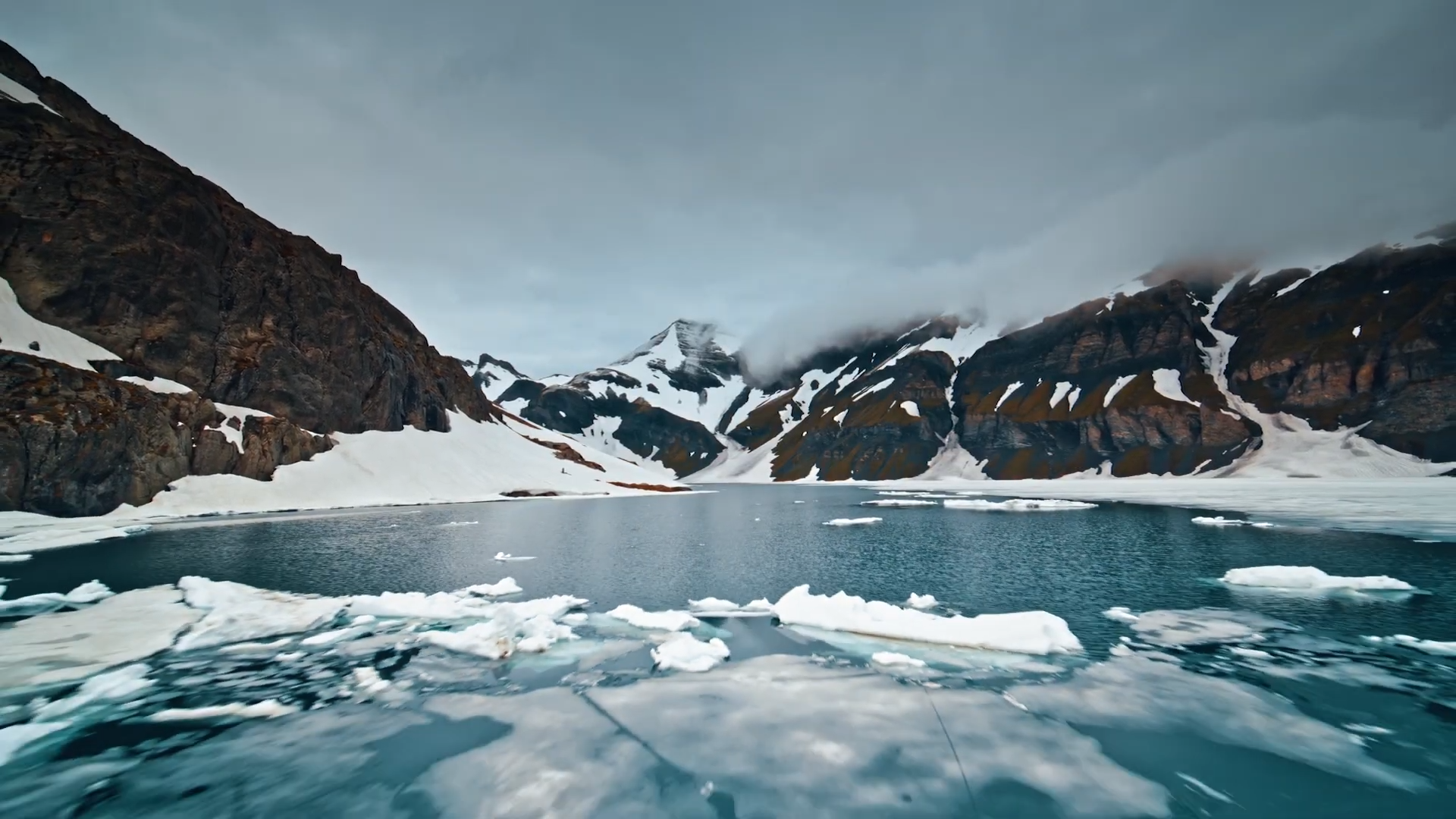 Video shows what happened when humans crossed into Alaska