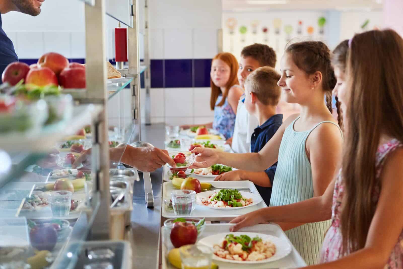 12 school lunch rules parents need to understand