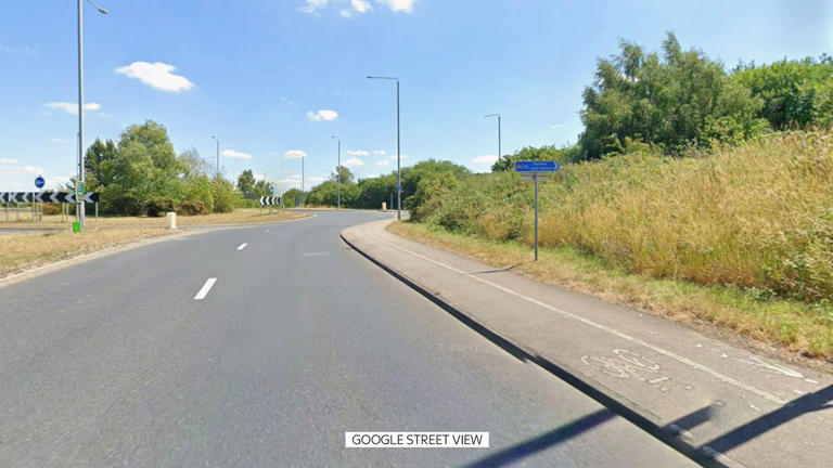 Human skeletal remains found in wooded area