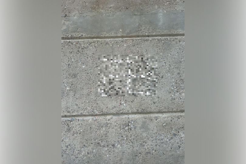 Anger over Heywood swastika graffiti as councillor says culprit 'not ...