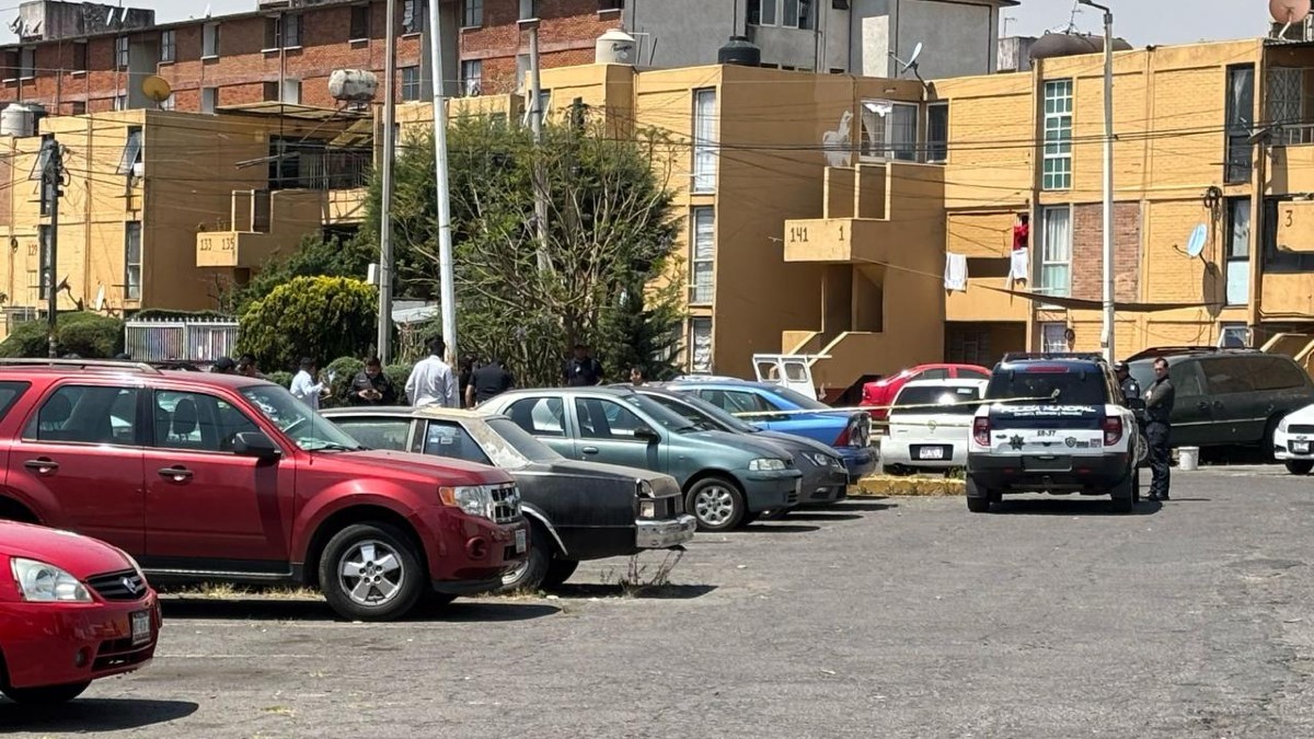 ‘Polito’ es asesinado a piedrazos en Metepec; agresores reciben más de ...