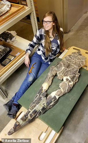 There's a new T rex in town! New species of mosasaur measuring 43 feet ...