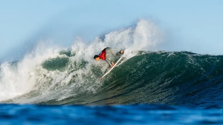Leão marinho? Tubarão? Ataque interrompe etapa do mundial de surf