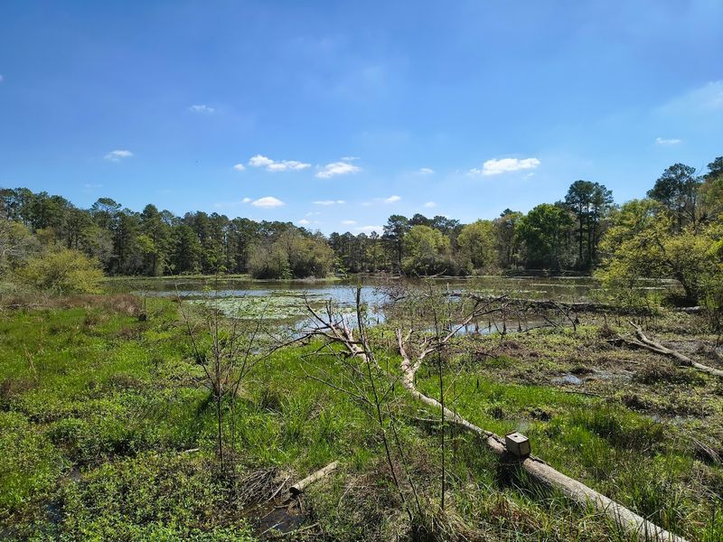 This 12,000-acre Texas park feels normal at first, until you wander ...