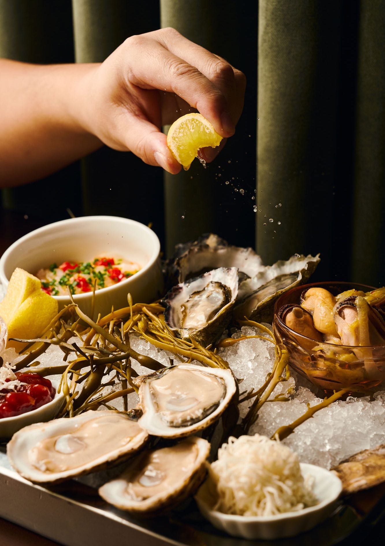 These are Toronto’s best new restaurants of 2026