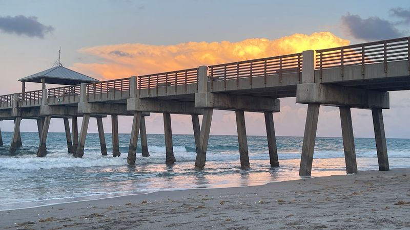 17 stunning US beaches where you can see sea turtles up close