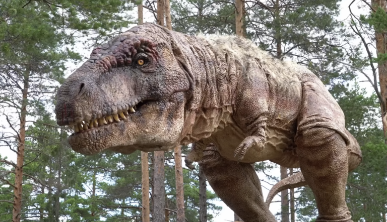 Evolution of dinosaurs