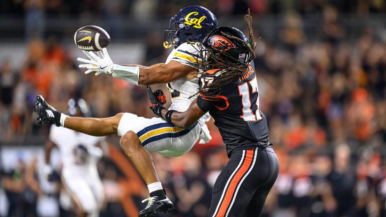 Bears' schedule is perfect fit for tight-end erasing UDFA Skyler Thomas